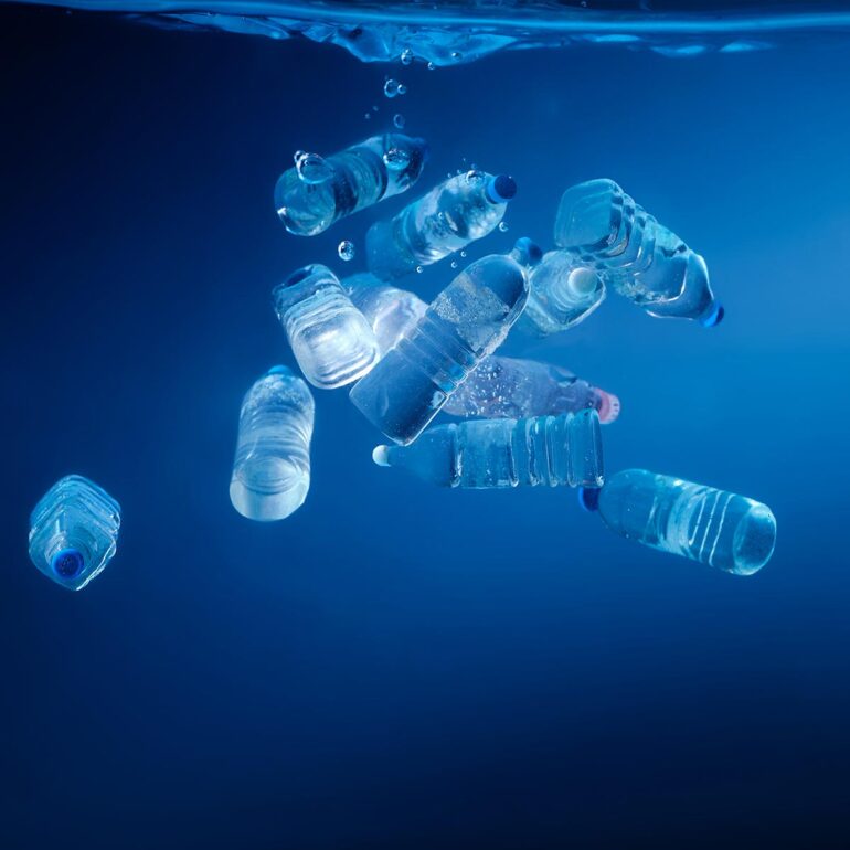 Se celebra el primer Día Internacional de Cero Desechos